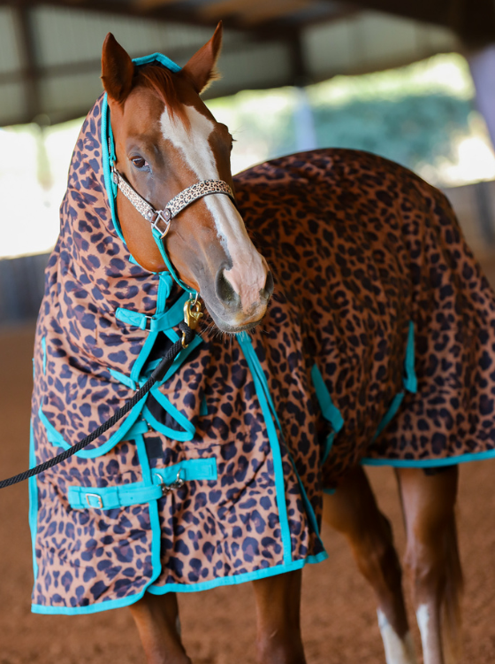 Tacktical Equine | High Performance Western Tack by Fallon Taylor