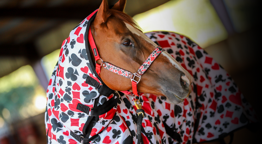 Tacktical Equine | High Performance Western Tack by Fallon Taylor