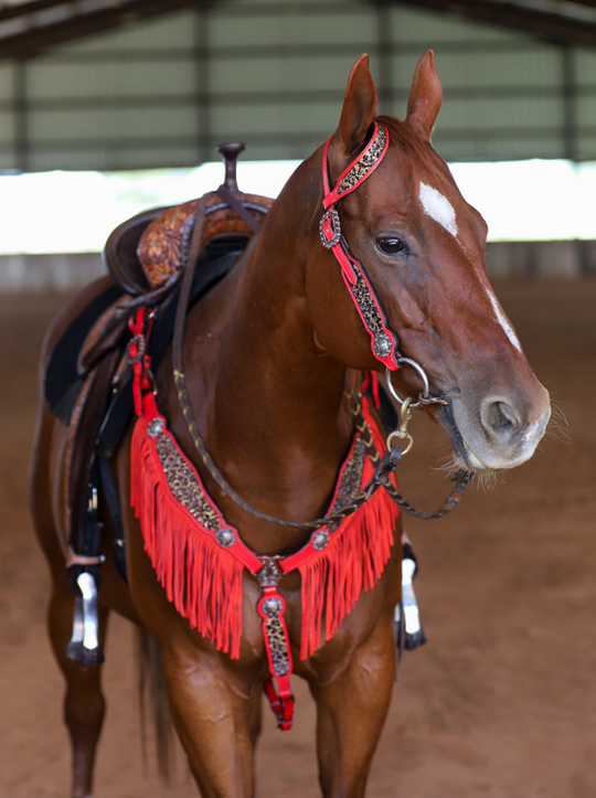 Tacktical Equine | High Performance Western Tack by Fallon Taylor