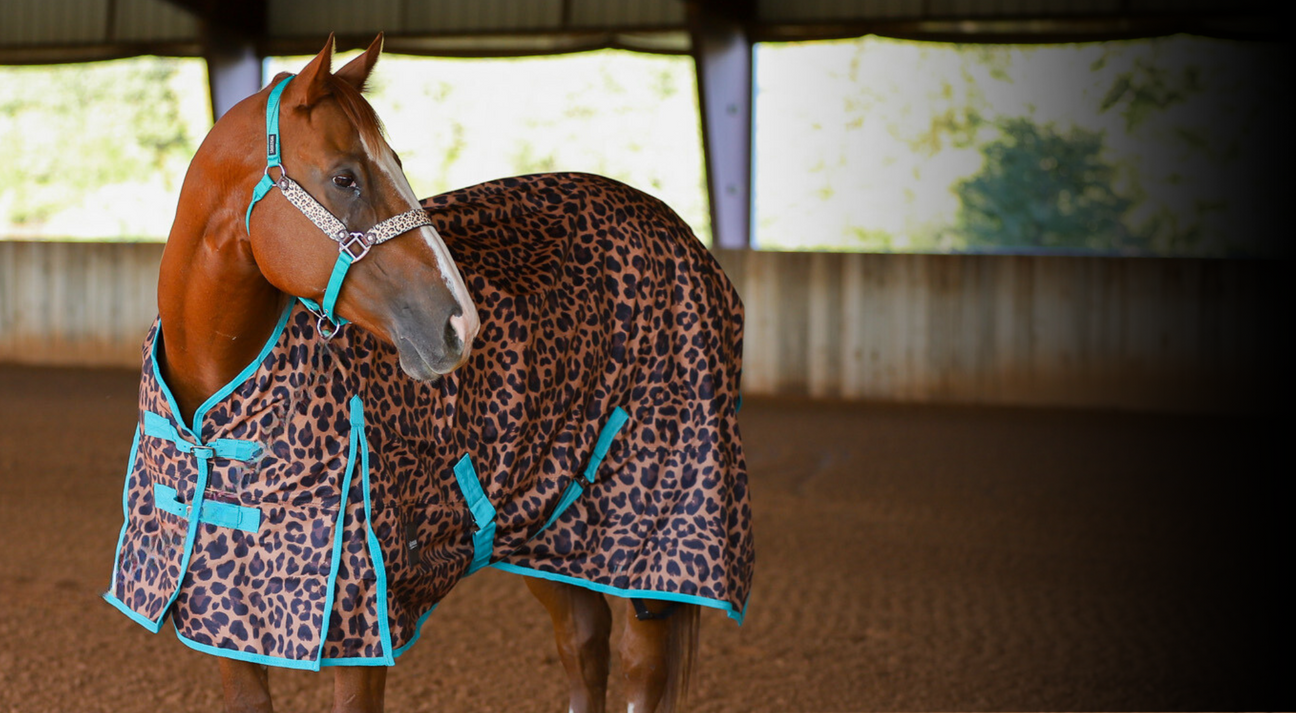 Tacktical Equine | High Performance Western Tack by Fallon Taylor