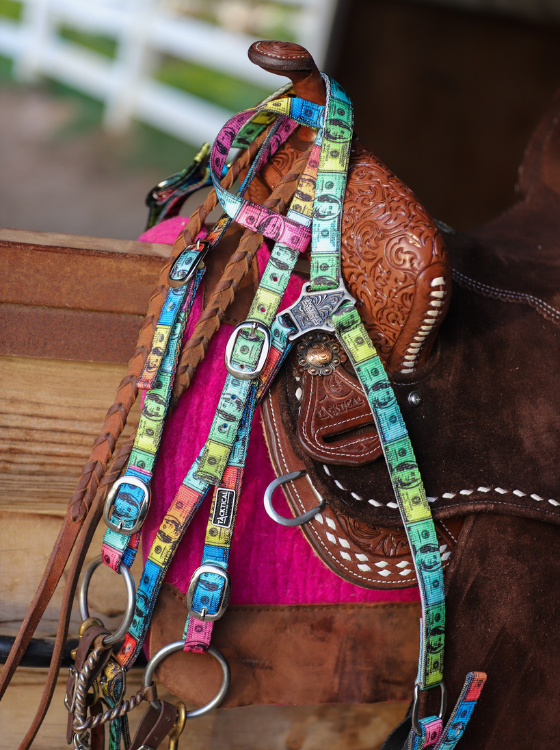 Tacktical Equine | High Performance Western Tack by Fallon Taylor