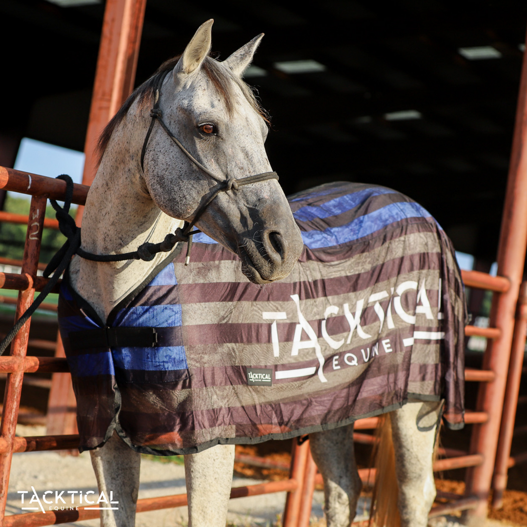 Tacktical Equine | High Performance Western Tack by Fallon Taylor