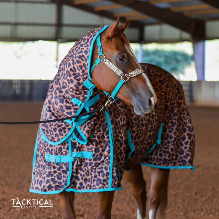 Tacktical Equine | High Performance Western Tack by Fallon Taylor