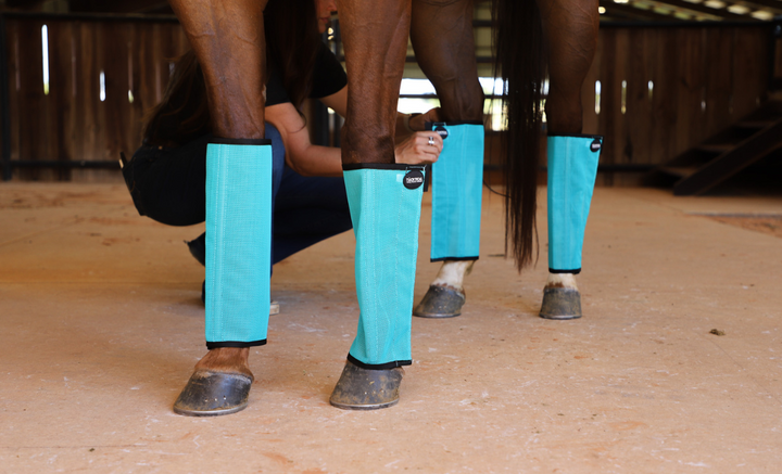 Tacktical Equine | High Performance Western Tack by Fallon Taylor