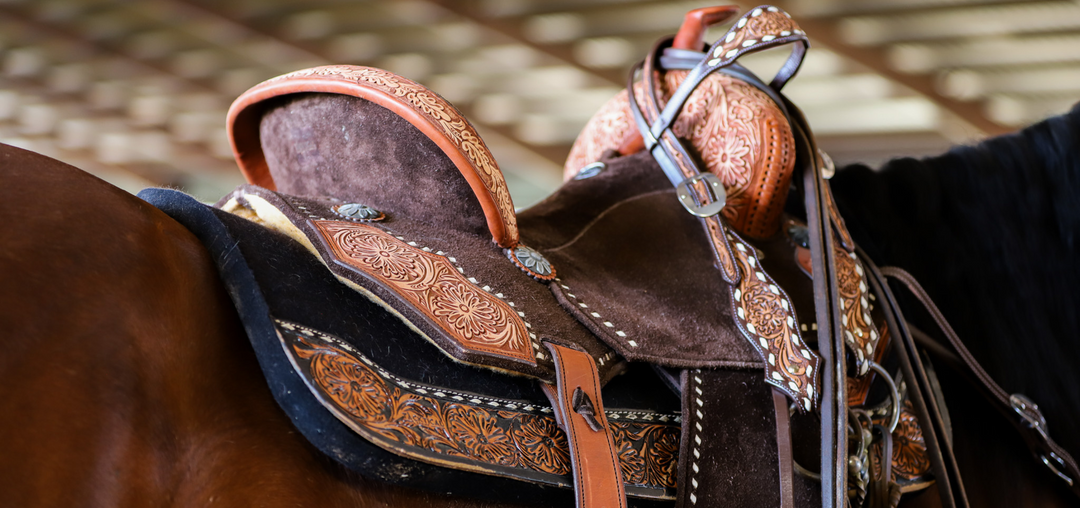 Tacktical Equine | High Performance Western Tack by Fallon Taylor