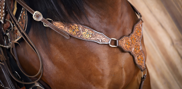 Tacktical Equine | High Performance Western Tack by Fallon Taylor
