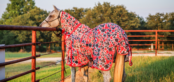 Tacktical Equine | High Performance Western Tack by Fallon Taylor